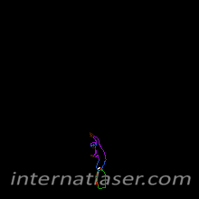 MAXFRAMES Leisure Animations III [ International Laser Productions ]